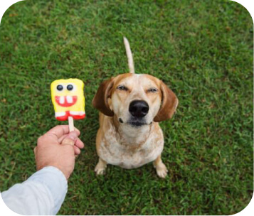 El primer mercado urbano de Chile | MUT